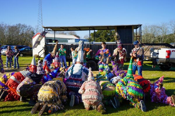 Mardi Gras in Jeff Davis Parish | Jeff Davis Parish