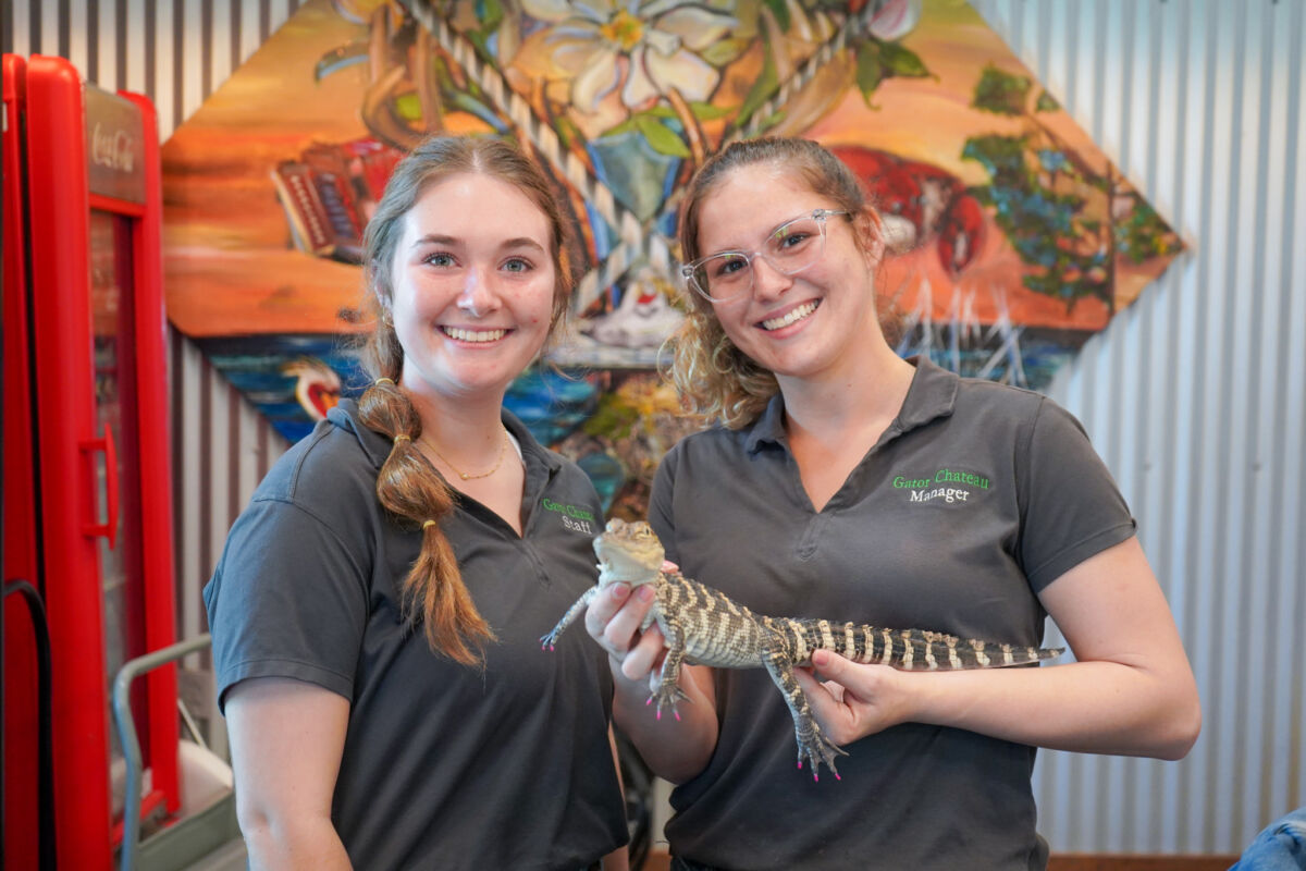 Hold A Gator | The Gator Chateau